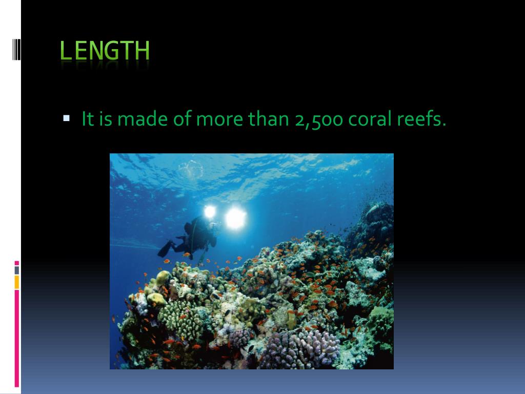 PPT - Great Barrier Reef by Grady Mrs. Kringer PowerPoint Presentation ...