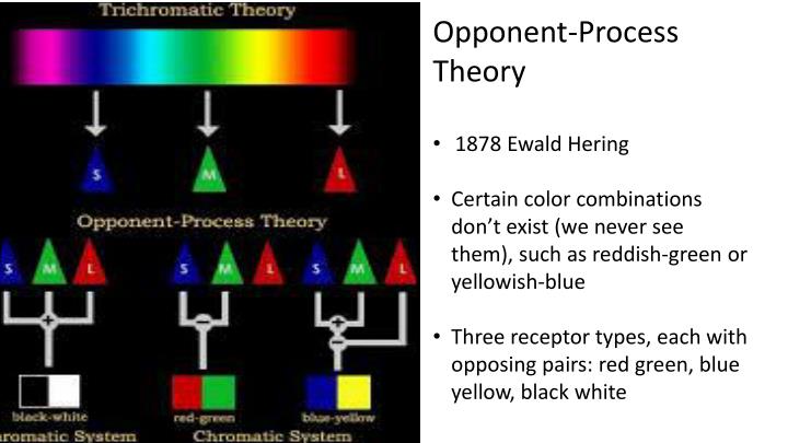 PPT - Color Harmony and the Opponent-Process Channel Theory PowerPoint ...