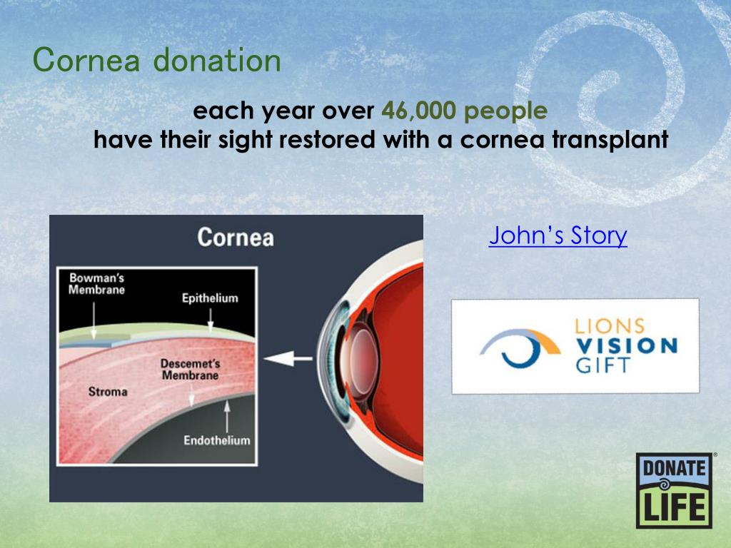 PPT - Facts about organ, eye and tissue donation PowerPoint ...