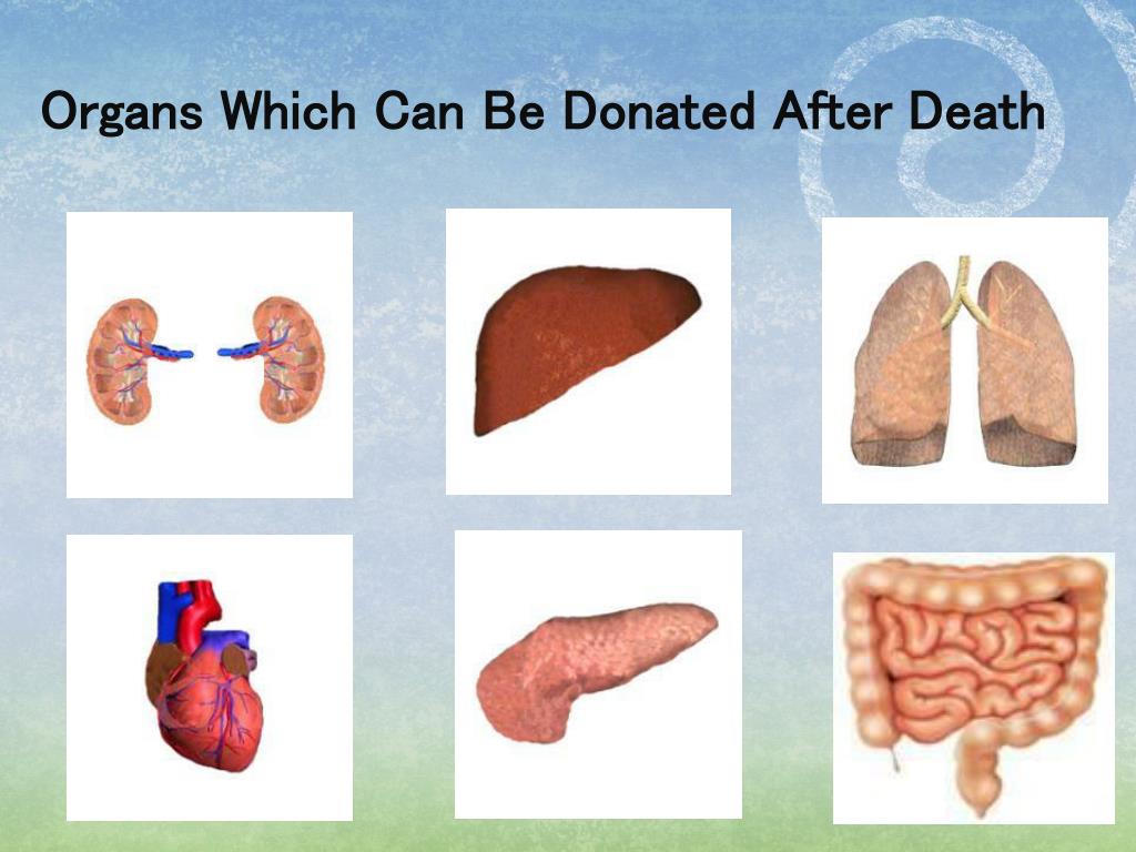 PPT - Facts about organ, eye and tissue donation PowerPoint ...