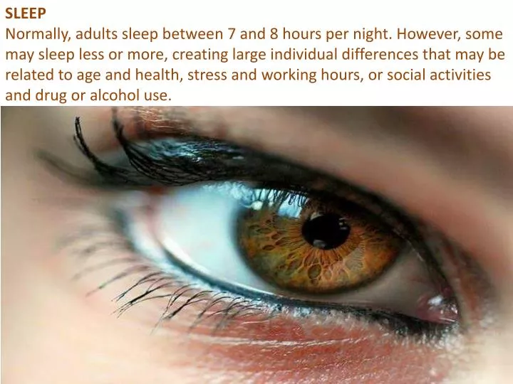 PPT - SLEEP PowerPoint Presentation, free download - ID:2561736