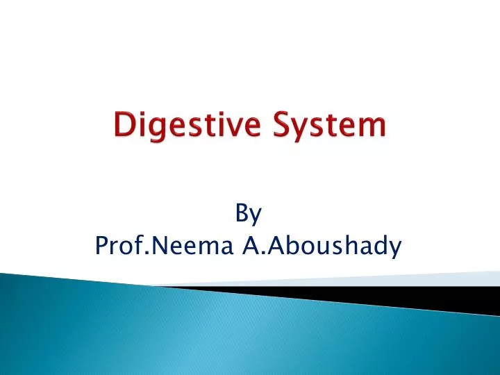 PPT - Digestive System PowerPoint Presentation, free download - ID:2561996