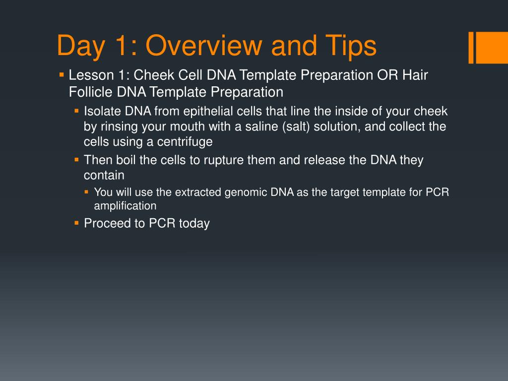 PPT - Gel Electrophoresis, Gel Loading Practice, and Polymerase Chain ...