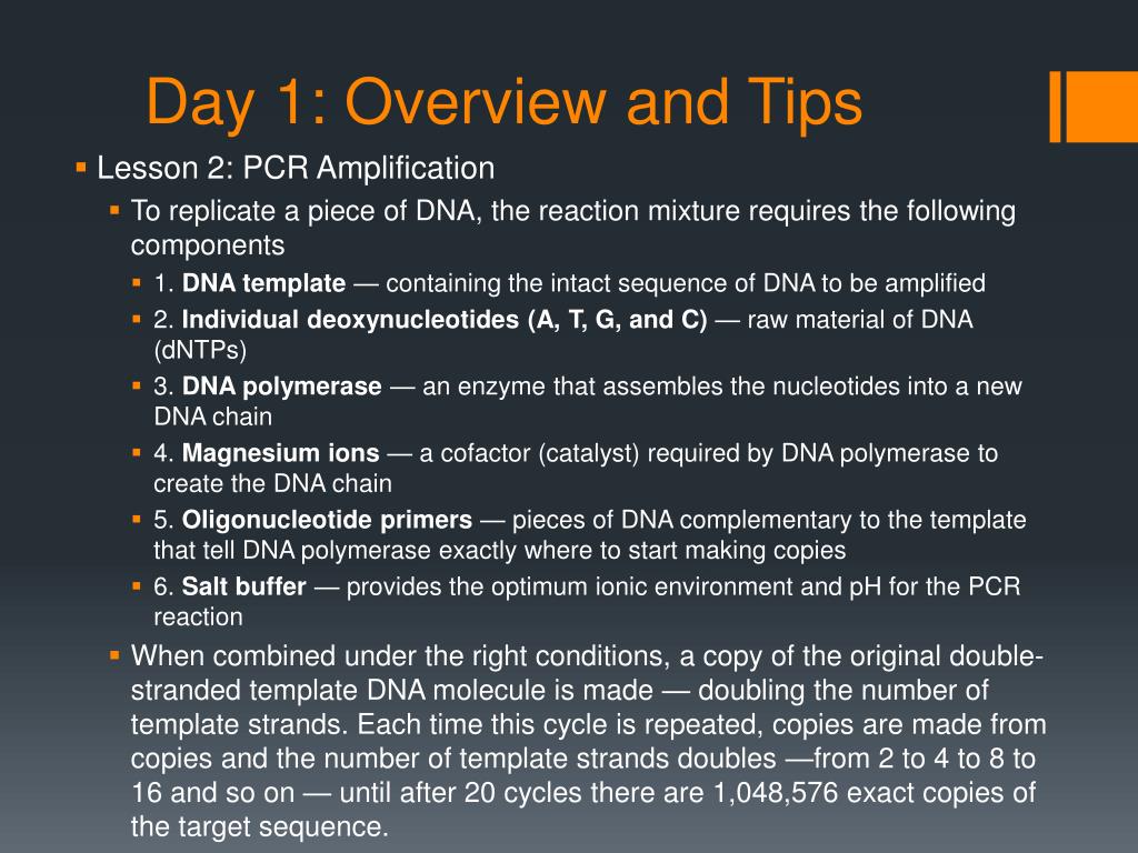 PPT - Gel Electrophoresis, Gel Loading Practice, and Polymerase Chain ...