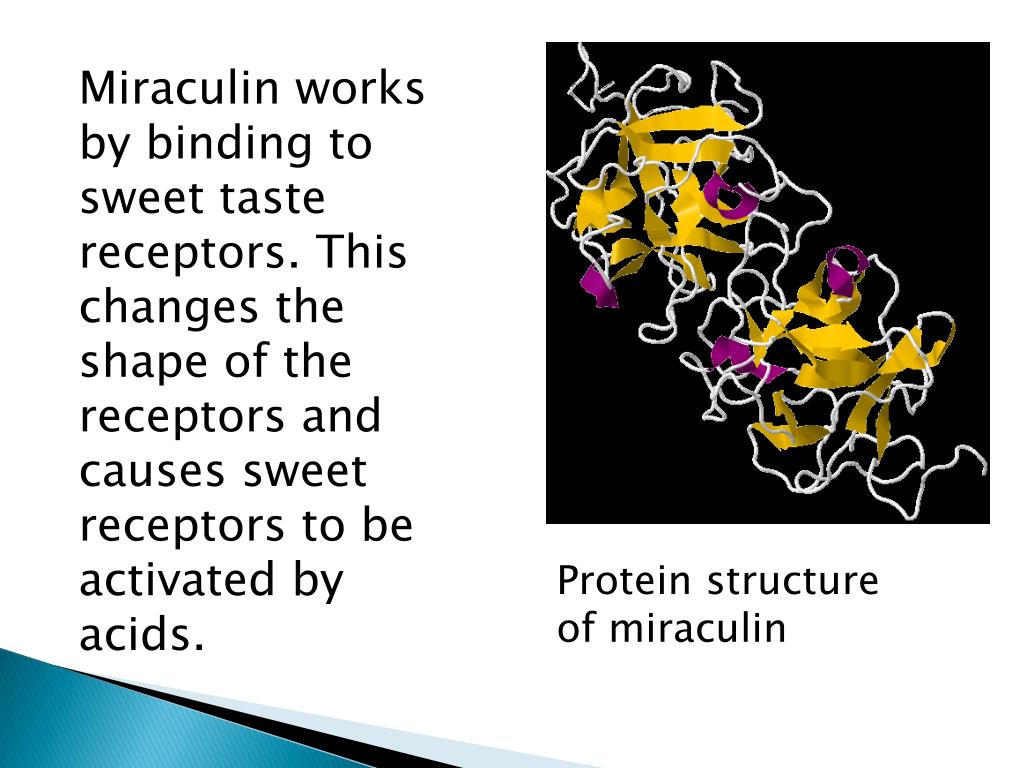 PPT - Cloning Human Taste Receptor Gene TAS1R3 and Miraculin PowerPoint ...