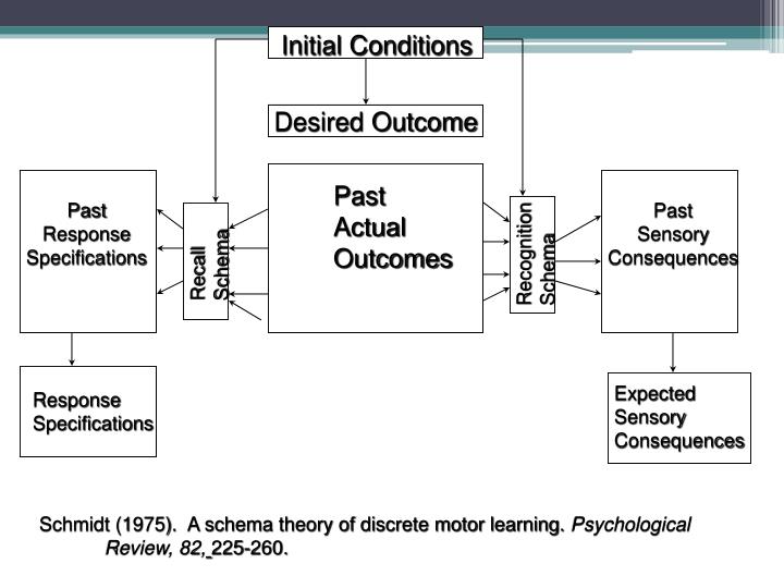 PPT - Schema Perspectives PowerPoint Presentation - ID:2564928