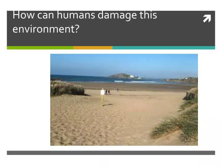 PPT - How can humans damage this environment? PowerPoint Presentation ...
