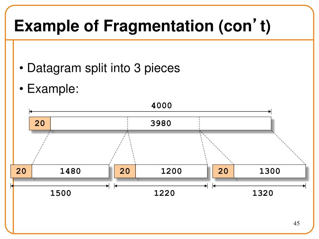 PPT - Exploring IP Protocol Design Fundamentals PowerPoint Presentation ...