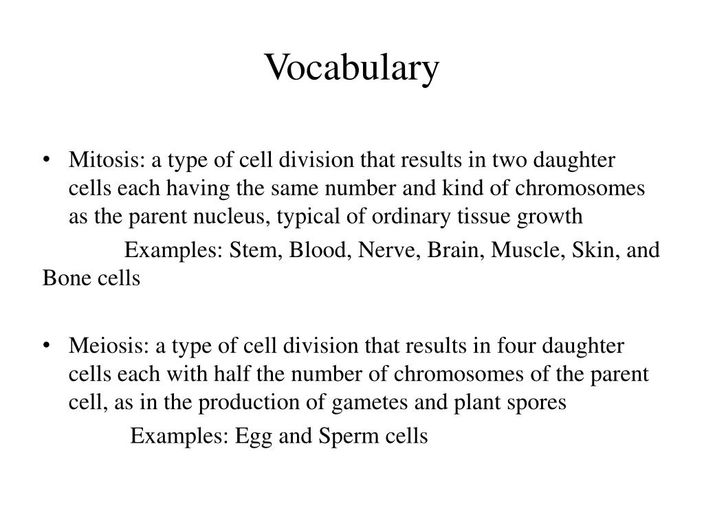 PPT - Vocabulary PowerPoint Presentation, free download - ID:2567280