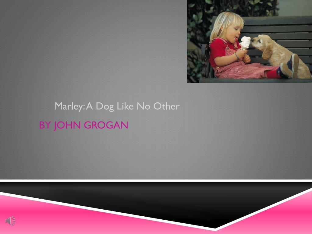 PPT - Cierra Metzler Mrs. C’s 5 th Grade Reading Book Report Realistic ...