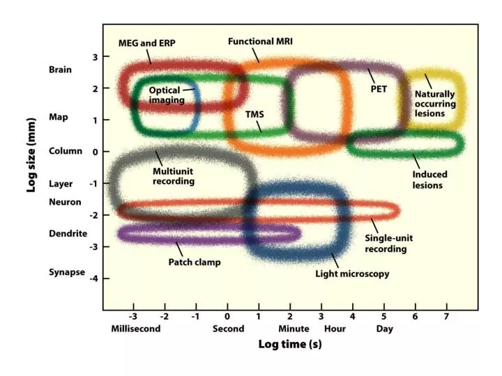 PPT - Principles of MRI PowerPoint Presentation, free download - ID:2568020