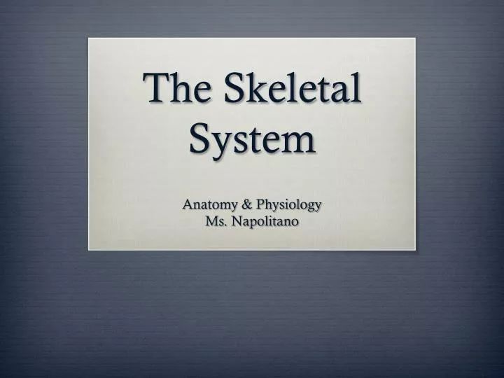 PPT - The Skeletal System PowerPoint Presentation, free download - ID ...