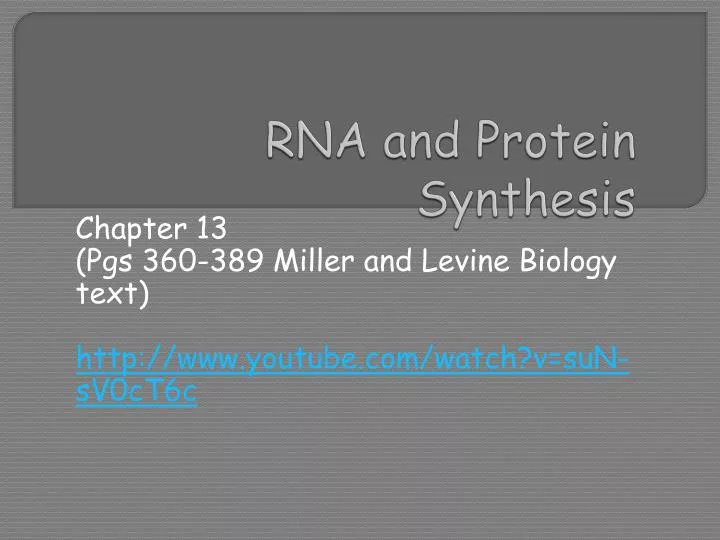 PPT - RNA and Protein Synthesis PowerPoint Presentation, free download ...
