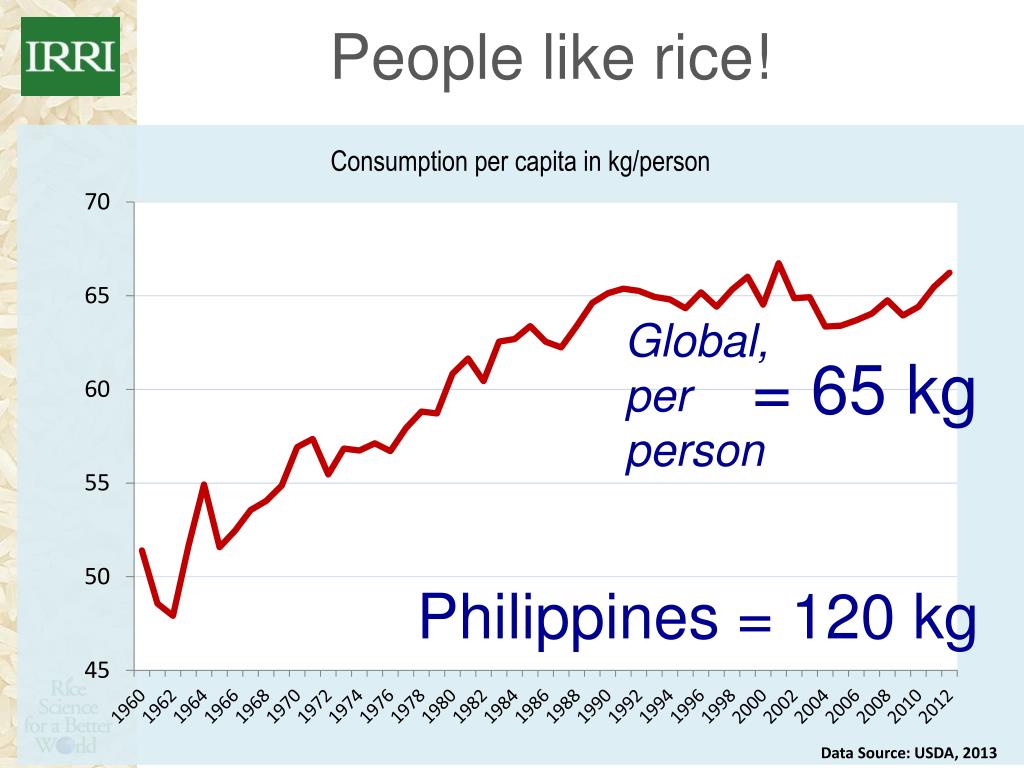 PPT - “Rice, Oryza sativa, is the staple food for half the human ...