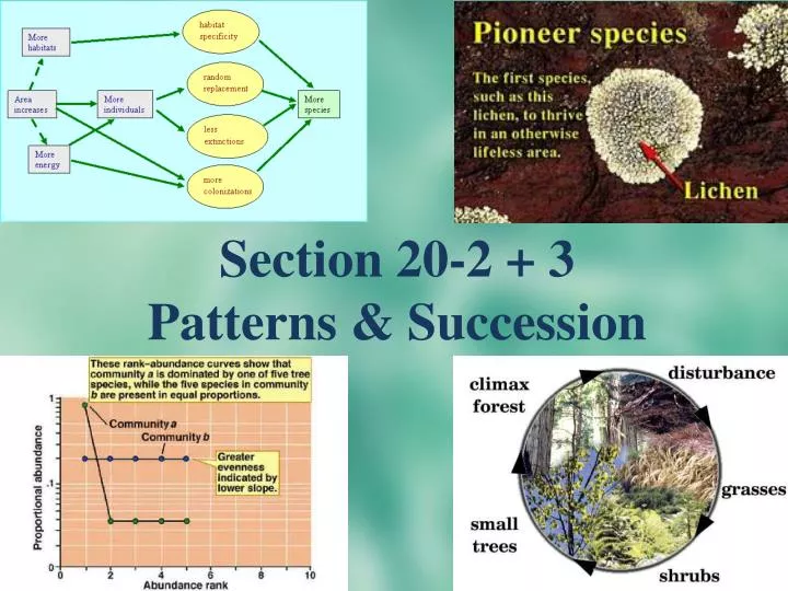 PPT - Section 20-2 + 3 Patterns & Succession PowerPoint Presentation ...