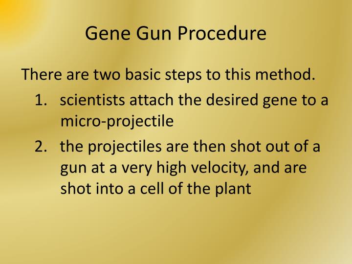 PPT - Golden Rice and Transgenic Crops PowerPoint Presentation - ID:2568400