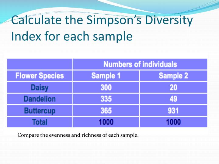 PPT - Simpson’s Diversity Index PowerPoint Presentation - ID:2568410