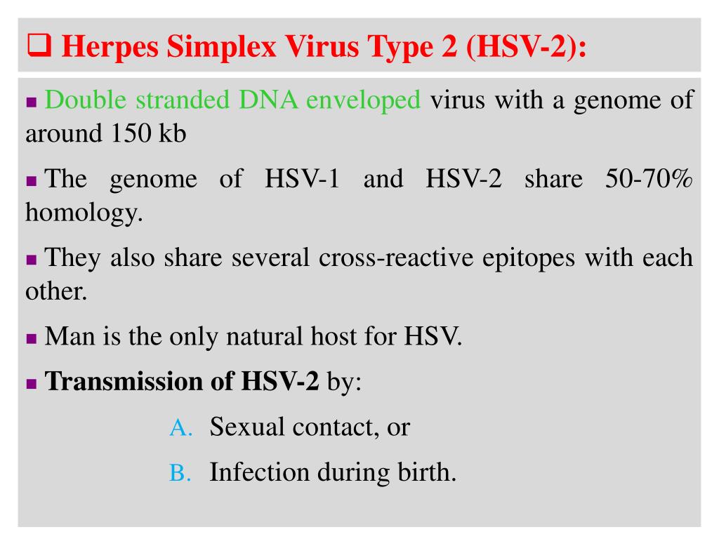 PPT - Sexually Transmitted Viral Infections: PowerPoint Presentation ...