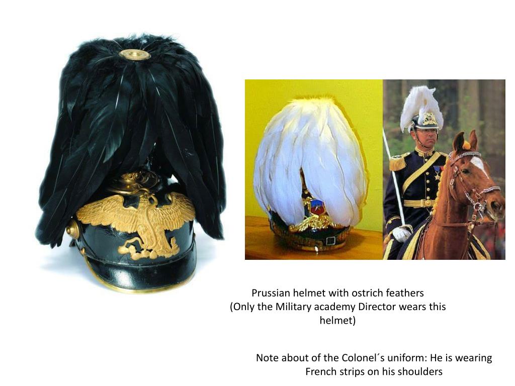 PPT - Historical Evolution of Prussian Helmets in Chilean Military ...