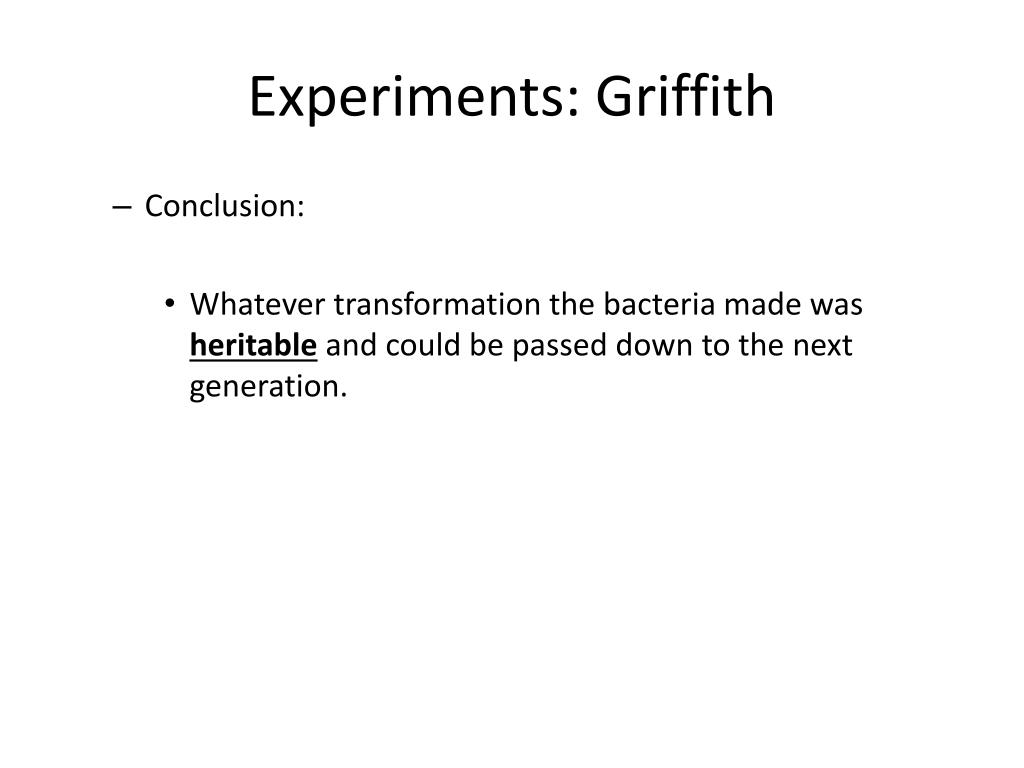 PPT - CH 10: Molecular Biology of the Gene PowerPoint Presentation ...