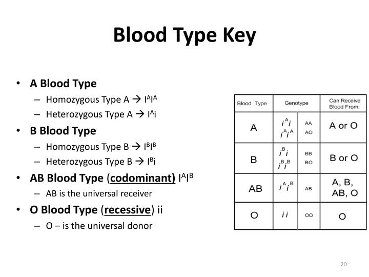 PPT - NON-MENDELIAN INHERITANCE PATTERNS (Modes of Inheritance) H ...