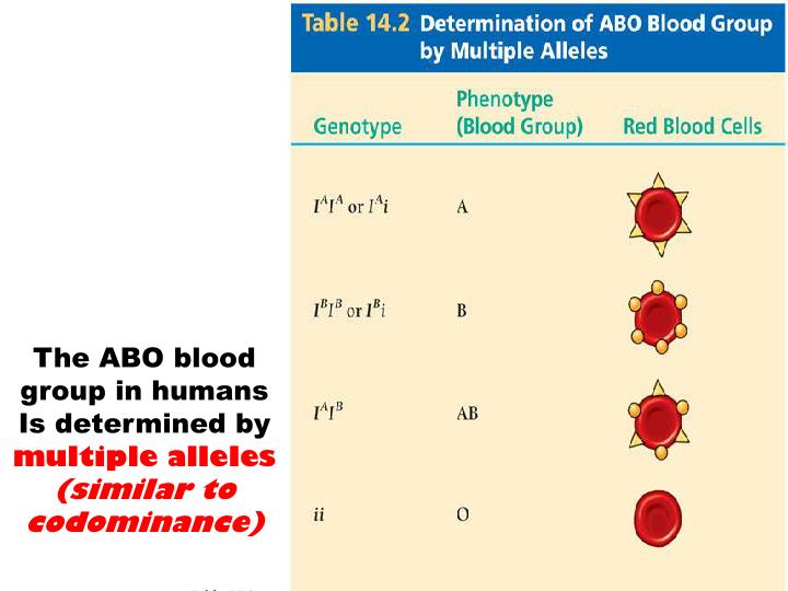 PPT - NON-MENDELIAN INHERITANCE PATTERNS (Modes of Inheritance) H ... PPT - NON-MENDELIAN INHERITANCE PATTERNS (Modes of Inheritance) H ...