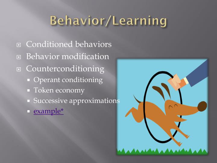 PPT - Methods of therapy PowerPoint Presentation - ID:2571374