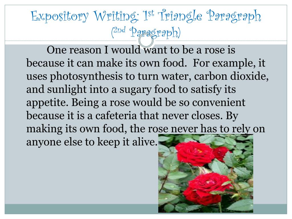 PPT - Magical Transformations: I Choose to Be a Rose PowerPoint ...