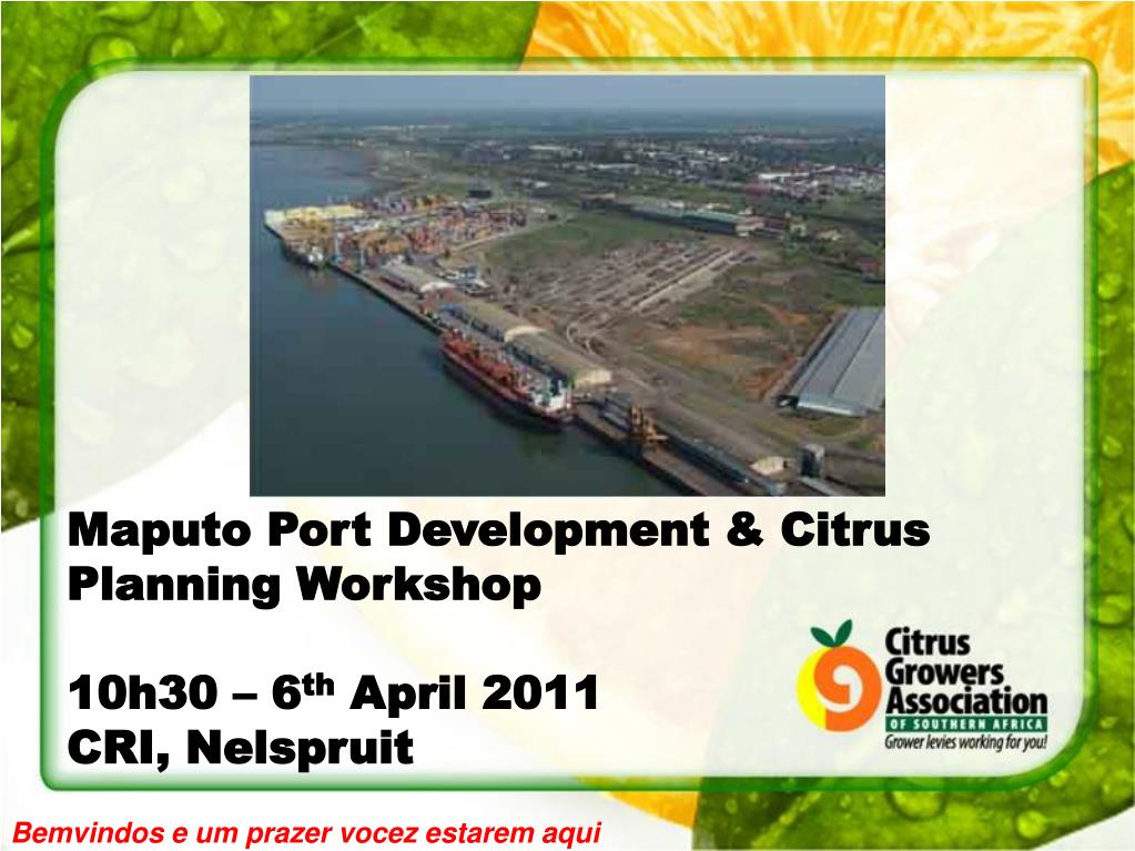 PPT - Maputo Port Development & Citrus Planning Workshop 10h30 – 6 th ...