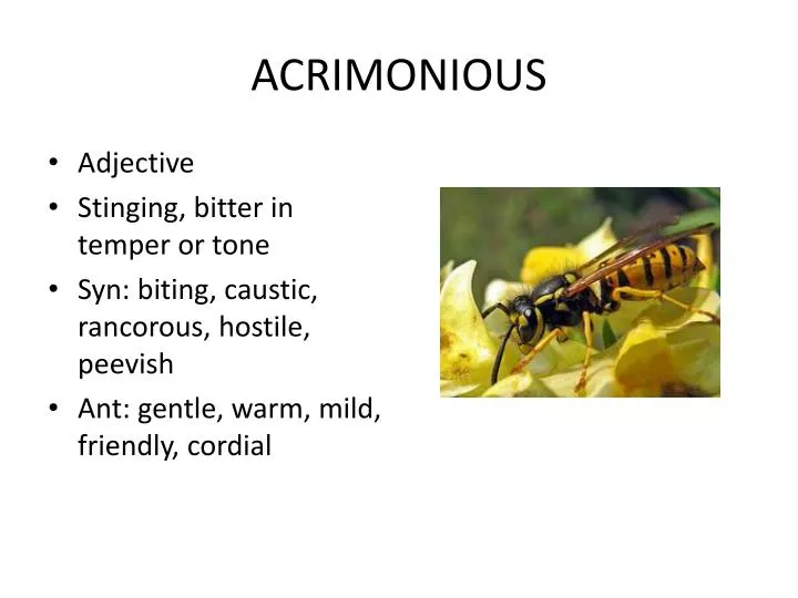 PPT - ACRIMONIOUS PowerPoint Presentation, free download - ID:2572517