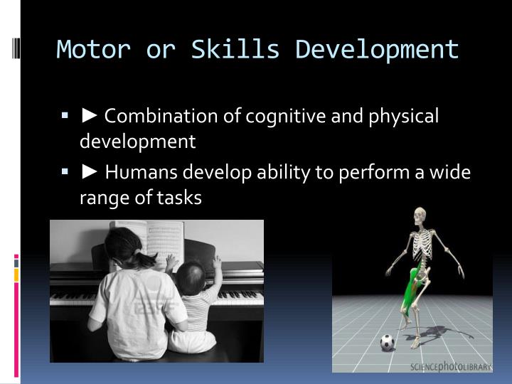 PPT - Human Growth and development PowerPoint Presentation - ID:2573811
