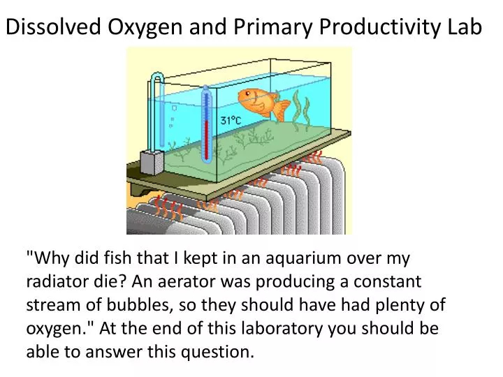 PPT - Dissolved Oxygen and Primary Productivity Lab PowerPoint ...