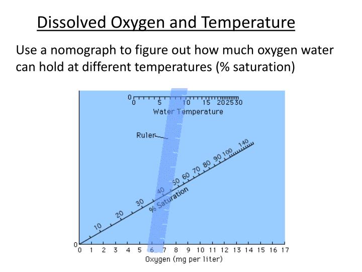 PPT - Dissolved Oxygen and Primary Productivity Lab PowerPoint ...