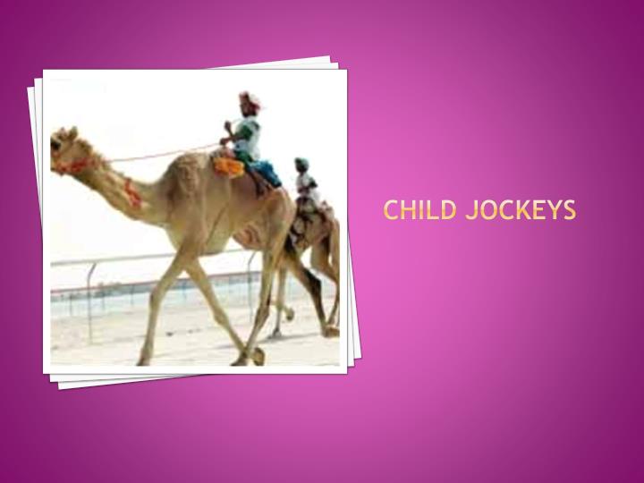PPT - Camel racing PowerPoint Presentation - ID:2575017