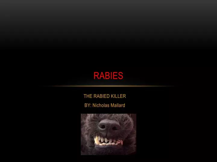 PPT - Rabies PowerPoint Presentation, free download - ID:2575374
