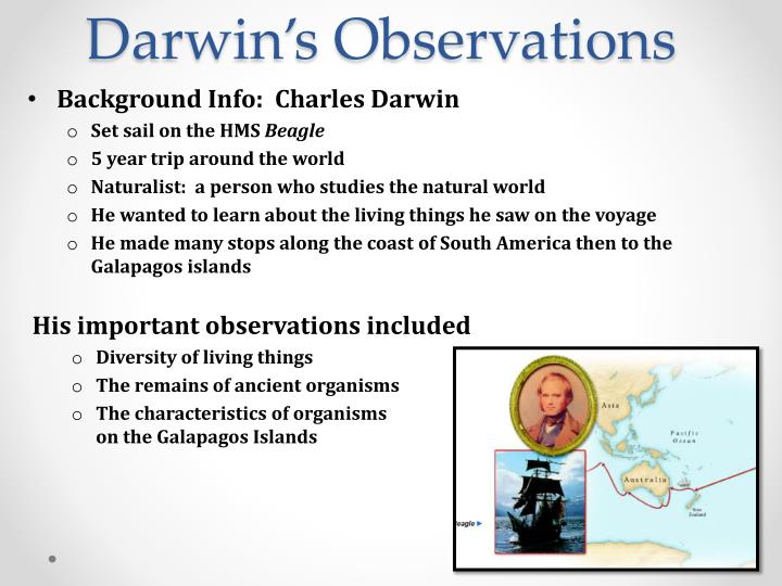 PPT - Darwin’s Theory PowerPoint Presentation - ID:2575466 PPT - Darwin’s Theory PowerPoint Presentation - ID:2575466