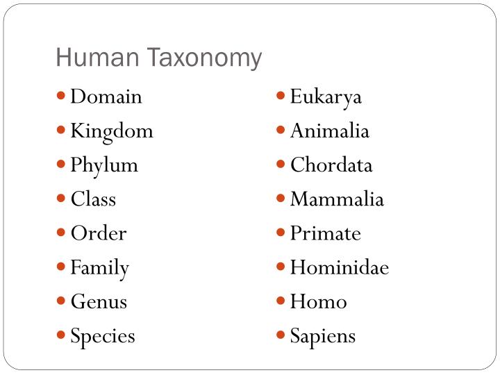 PPT - Macroevolution PowerPoint Presentation - ID:2576096