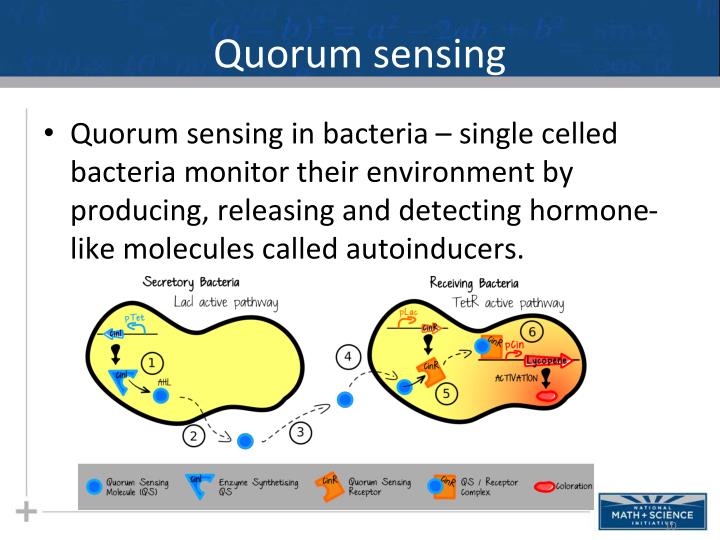 PPT - Endocrine & Cell Communication Part I: Introduction to ...