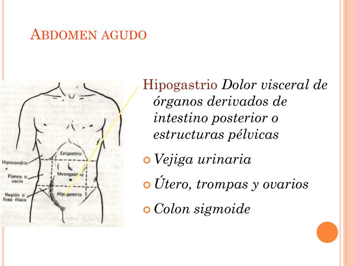 PPT - Abdomen agudo Traumático , Vascular y Hemorrágico PowerPoint ...