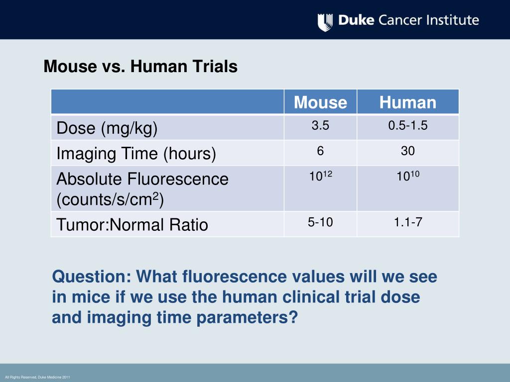 PPT - Preliminary Analysis Of Phase I, First-In-Human, Cathepsin ...
