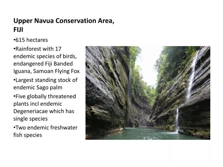 PPT - Upper Navua Conservation Area, FIJI PowerPoint Presentation, free ...