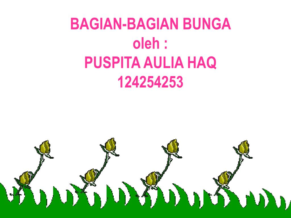 PPT - BAGIAN-BAGIAN BUNGA oleh : PUSPITA AULIA HAQ 124254253 PowerPoint ...