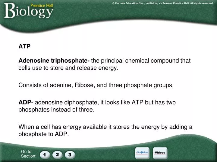 PPT - ATP PowerPoint Presentation, free download - ID:2580364