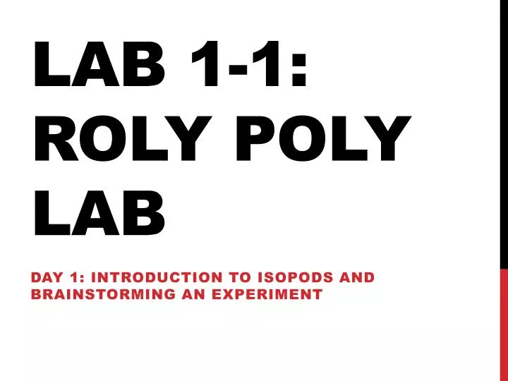 PPT - Lab 1-1: Roly Poly Lab PowerPoint Presentation, free download ...