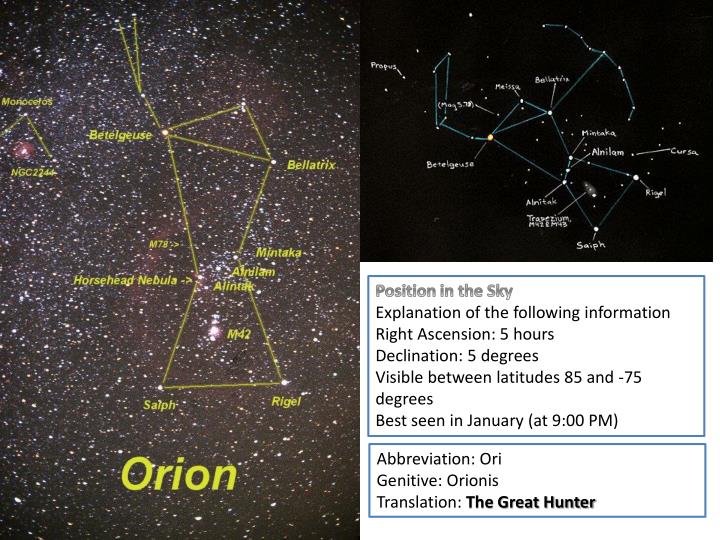 PPT - Constellation of the Week: ORION PowerPoint Presentation - ID:2581018