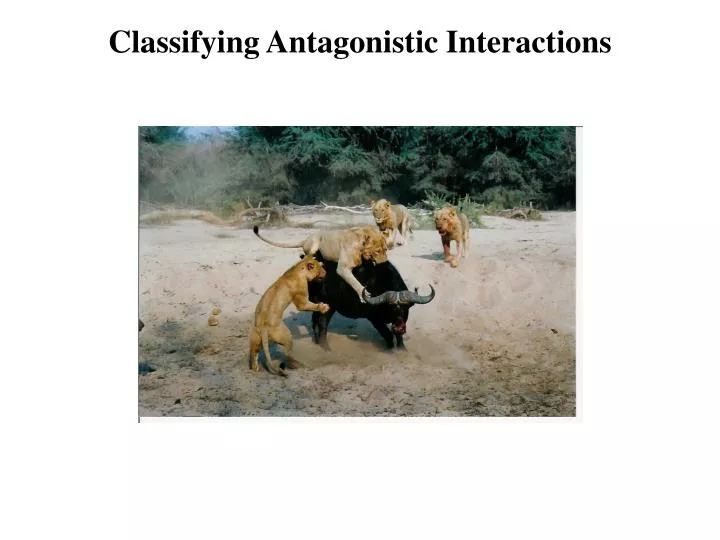 PPT - Classifying Antagonistic Interactions PowerPoint Presentation ...