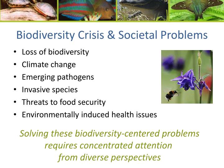 PPT - Biodiversity and Climate Change PowerPoint Presentation - ID:2582473
