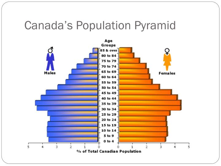 PPT - Population Pyramids PowerPoint Presentation - ID:2582889