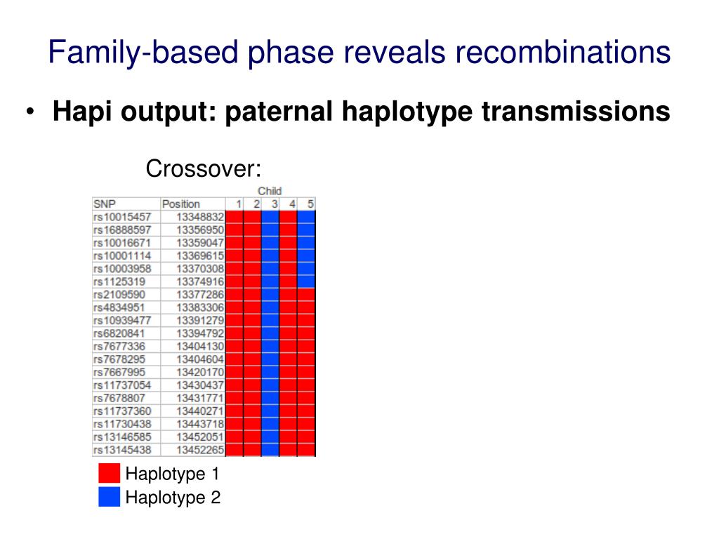 PPT - Meiotic gene conversion in humans: rate, sex ratio, and GC bias ...