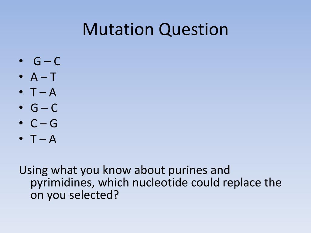 PPT - Warm-Up PowerPoint Presentation, free download - ID:2584489